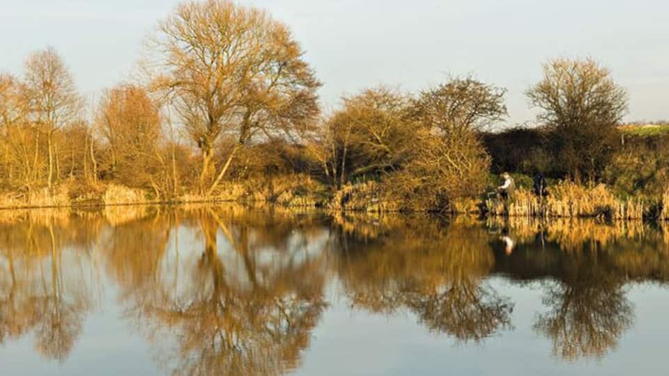 Landgate Lodges Landgate Lodges on a still day