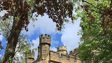 Um castelo de pedra histórico, com ameias e uma torre central, rodeado por vegetação exuberante e um céu claro.