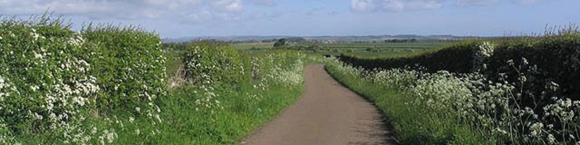 A country road to the north of Lowick