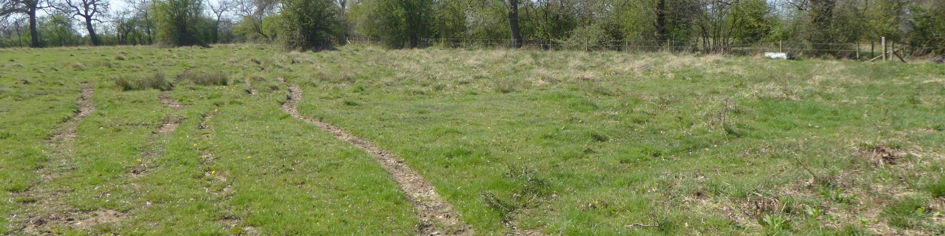 Bucknell Wood Meadows is a biological Site of Special Scientific Interest north-west of Silverstone in Northamptonshire.