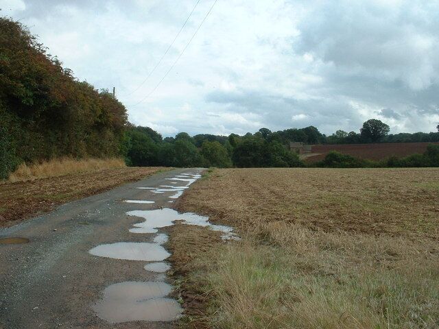 Uma estrada rural com buracos e um campo de um lado.