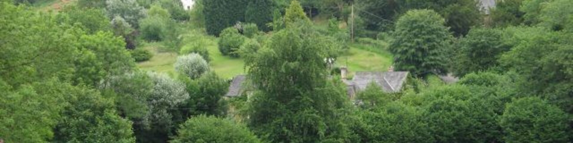 Paisagem verde exuberante com uma igreja branca e edifícios residenciais, tudo cercado por árvores densas e um campo de flores silvestres.