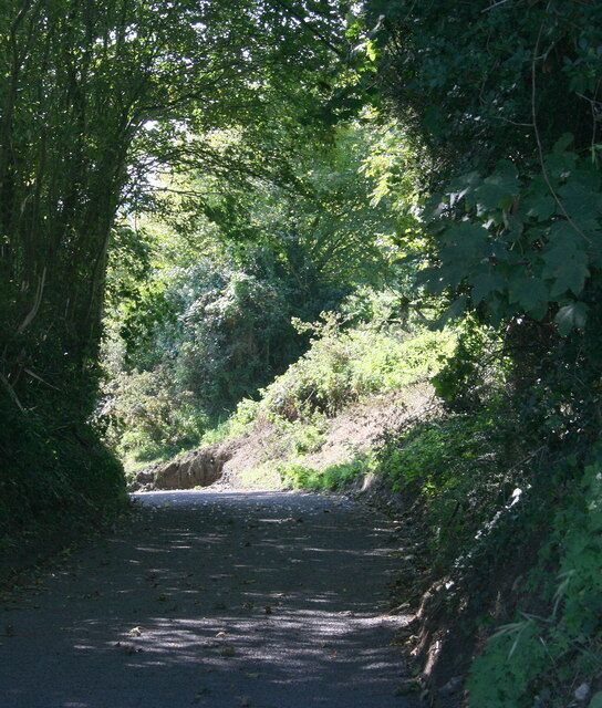 Uma estrada estreita e arborizada, rodeada por vegetação densa.
