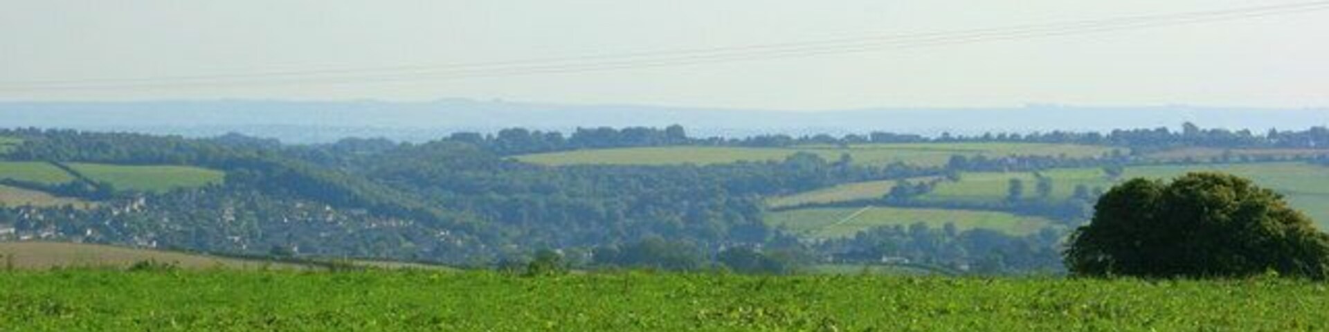 East of south from Bath Road, Colerne The pasture soon drops into the valley, with Lid Brook at the bottom. Box is on the far hillside to the left.