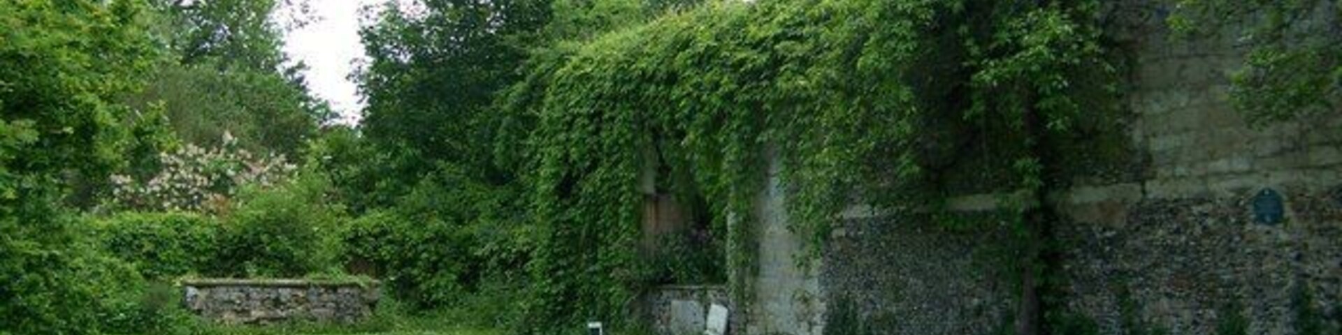 Uma área gramada com muro de pedra e ruínas cobertas de hera.