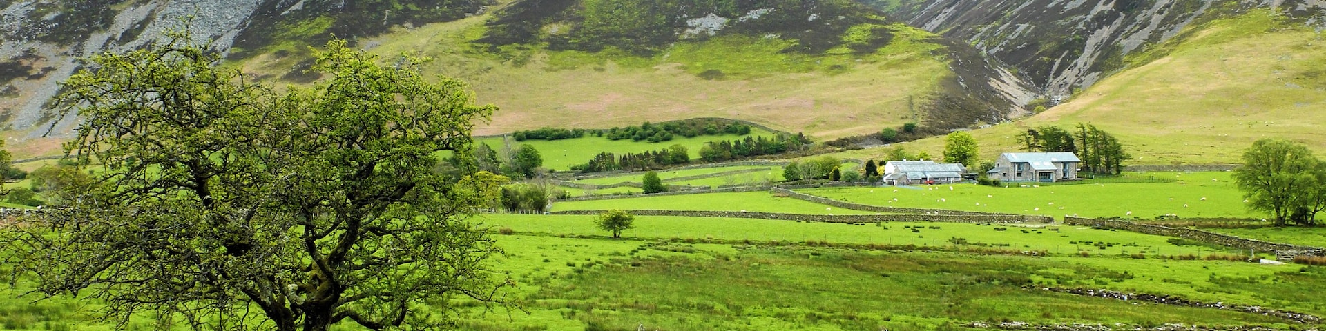Lanthwaite Green, Crummock