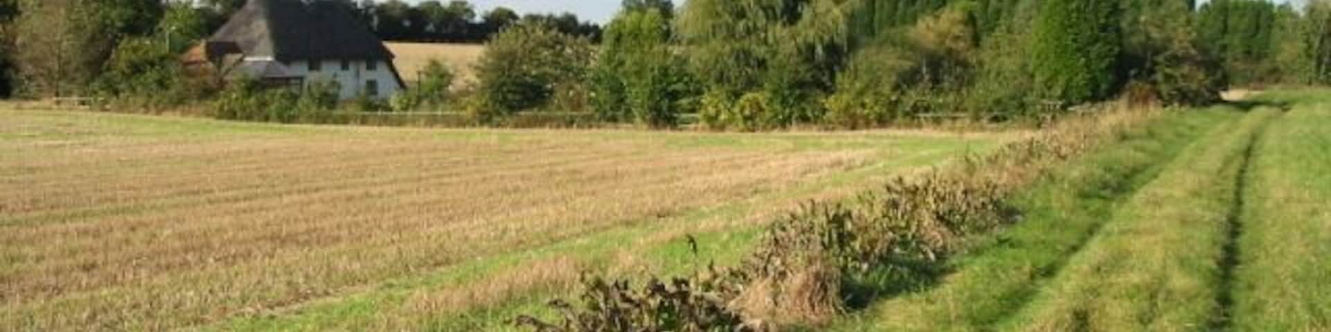 View along Footpath towards Venson Farm