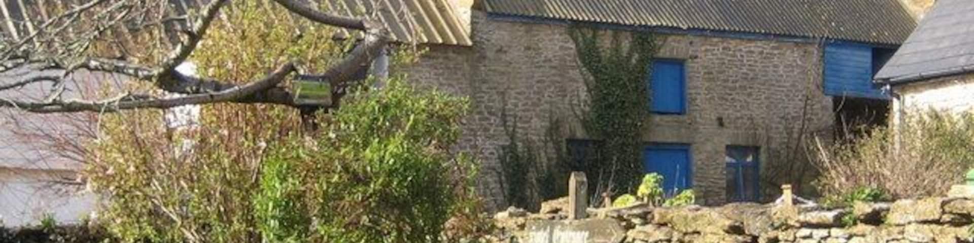 Uma casa de pedra com telhado de metal, rodeada por um jardim com diversas plantas e um muro de pedra.