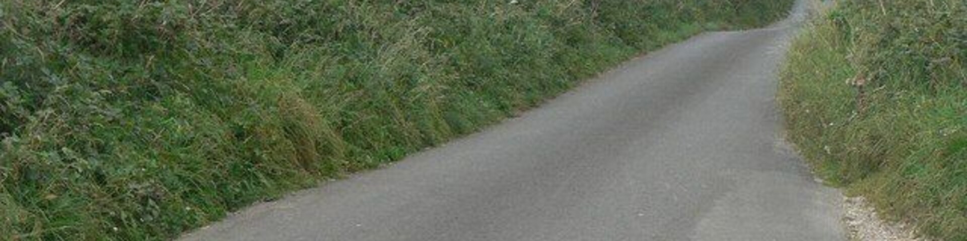 Uma estrada rural estreita, ladeada por vegetação densa, que conduz a estruturas industriais distantes.