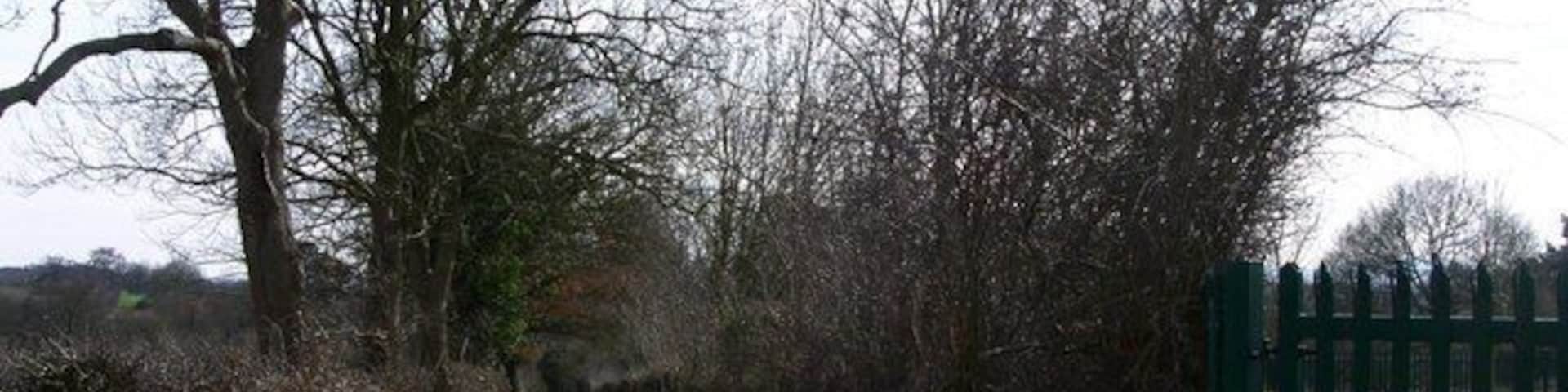 Green lane and water tank behind the railings. This lane leads down to fishponds at the back of Ombersley Hall and an anomous square on the OSmap turns out to be Ombersley's water supply.