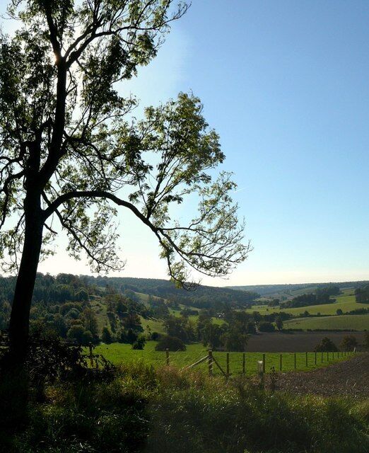Uma colina arborizada com céu claro e colinas suaves ao longe.