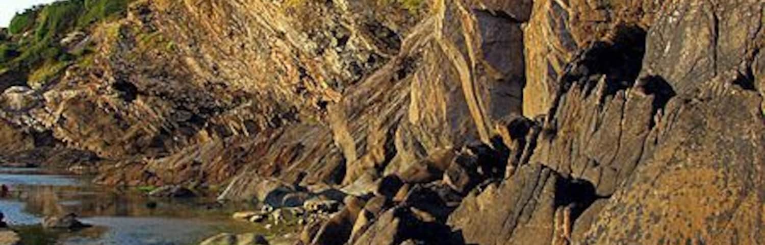 Wind Sculpture at Combe Martin. A tree sculpted by the strong winds on Lester Cliff at Combe Martin.