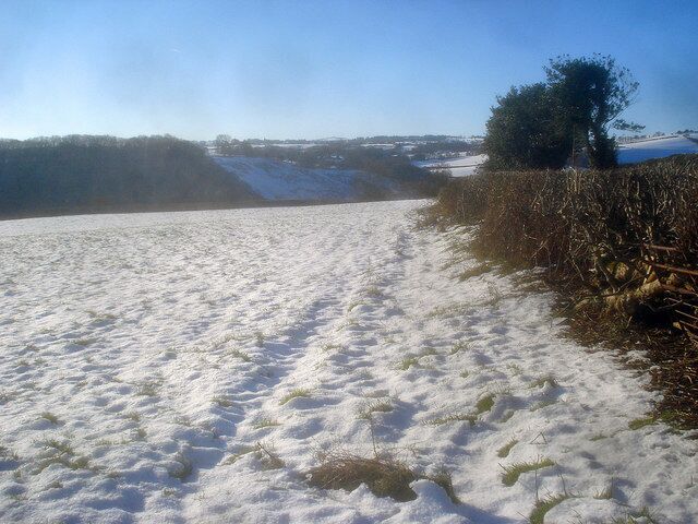 Um campo coberto de neve com um caminho que leva a uma árvore distante.