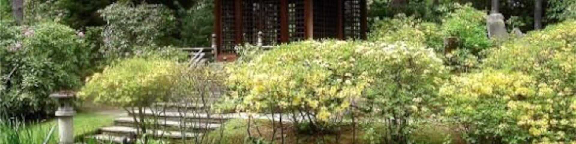 Um pavilhão japonês tradicional rodeado por vegetação exuberante e um lago com folhas de nenúfar.