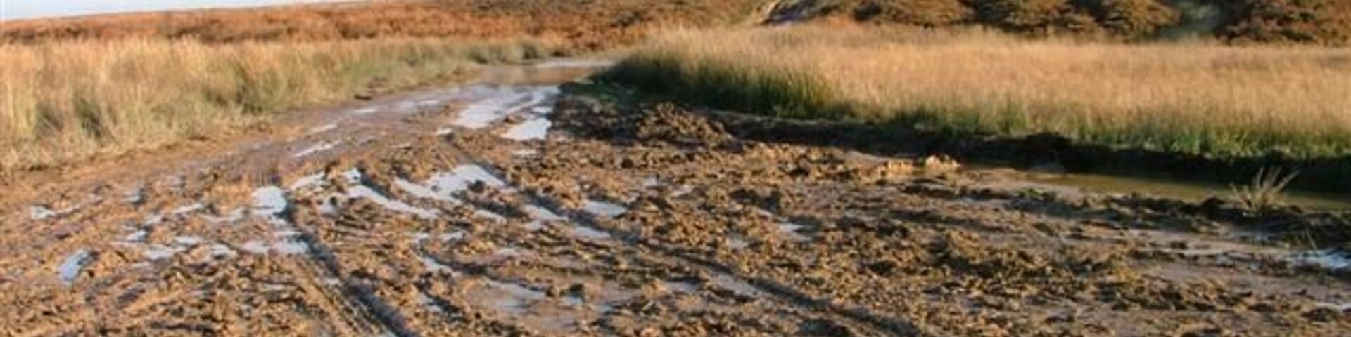 Stoxla Road. This is a Byway Open to All Traffic or B.O.A.T. which means you can take you car along it. If you so wish. It is therefore a magnet for local motorbikes, quad bikes and off road vehicles. Such use is unsustainable.