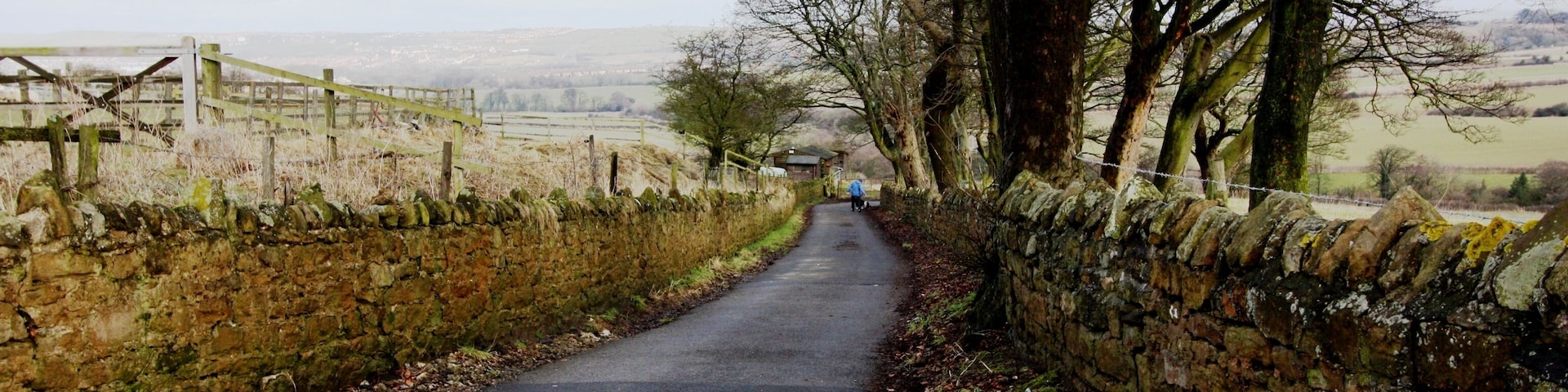 Cleveland Street Trail near Skelton Green This photograph shows a view of the Cleveland Street Trail as it approaches its junction with Boosbeck Road (from where the picture was taken). The viewing direction was east-north-easterly - looking towards North Skelton.