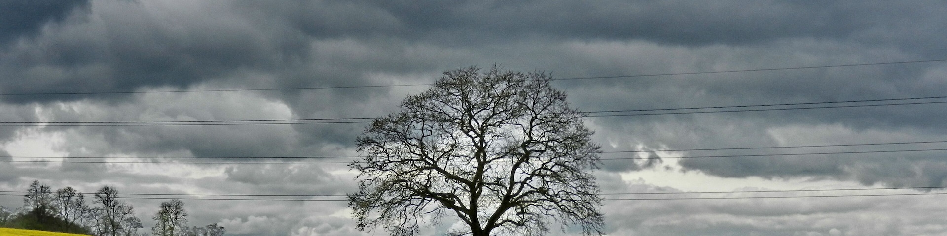 The beginning of spring