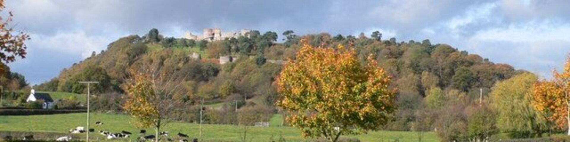 Um campo com grama, vacas, árvores de outono e uma colina com um edifício ao fundo.