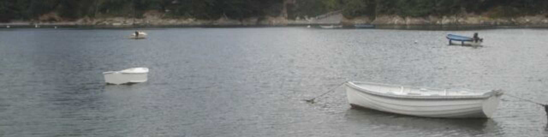 Um lago tranquilo com duas embarcações ancoradas, cercado por árvores e um edifício distante.