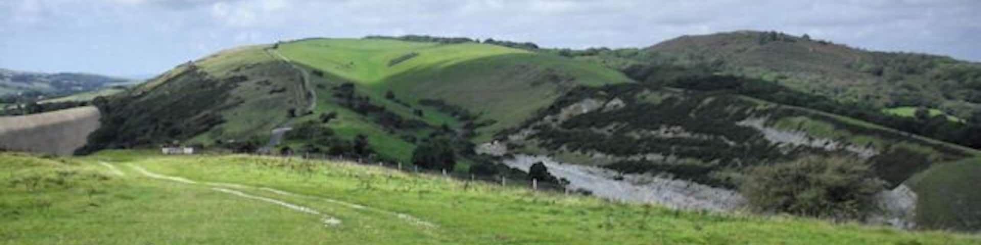 Ridgeway West of Knowle Hill Looking west towards Stonehill Down and Ridgeway Hill.