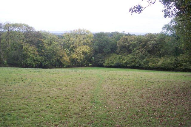 Um campo gramado com árvores ao fundo.