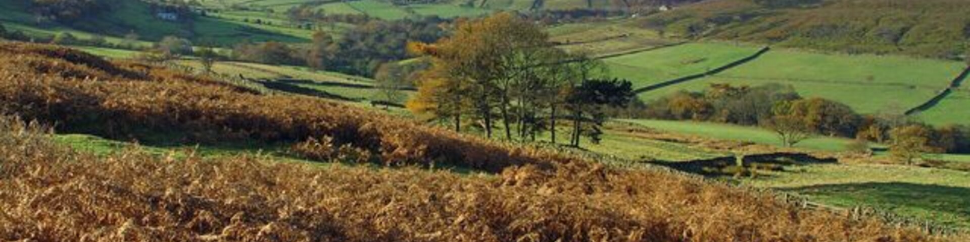 Westerdale valley Descending into the valley with winter sunshine on a clear day, one gets the clear distinction between the fertile valley and the wild open moors. This view is southwest from the minor road that leads up to the Castleton - Hutton-le-Hole road, (which is still only a minor road).