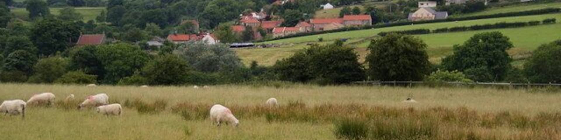 Danby from across the valley