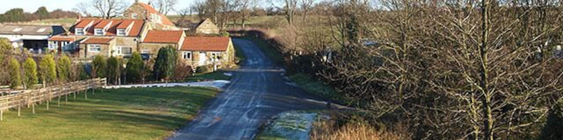 Uma estrada rural com casas de um lado e um rio do outro.