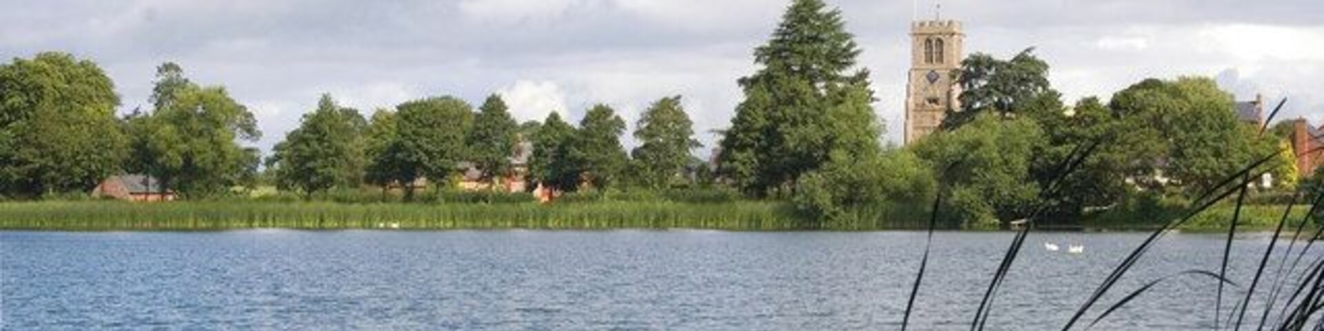 Um lago com nenúfares, uma torre e árvores.