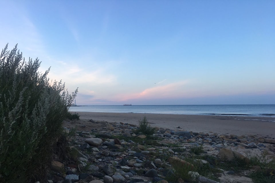 Uma praia rochosa com vegetação rasteira e mar calmo.