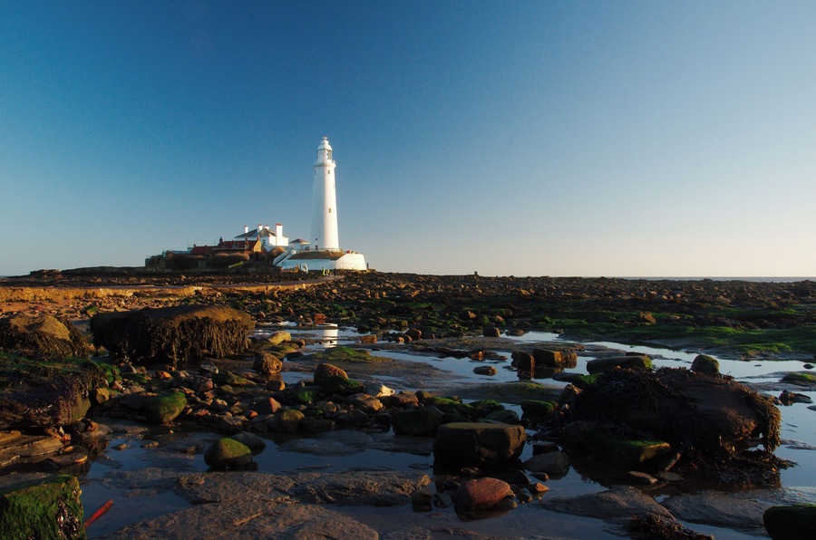Um farol branco numa costa rochosa com rochas cobertas de musgo verde e um céu azul límpido.