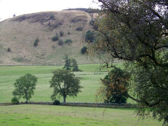 Um campo gramado com árvores e uma colina ao fundo.