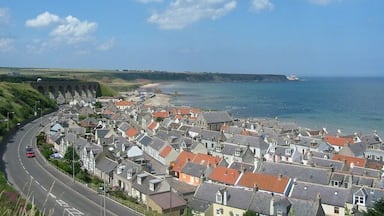 Uma cidade costeira com uma ponte viária imponente, uma praia e um céu azul claro.