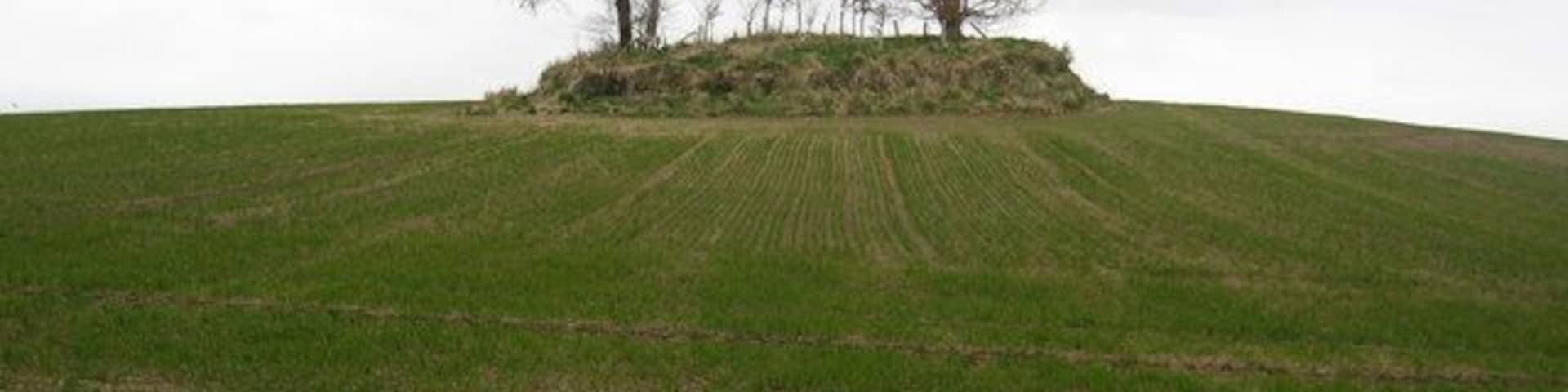 Doons Law burial site near Whitsome A burial cist.