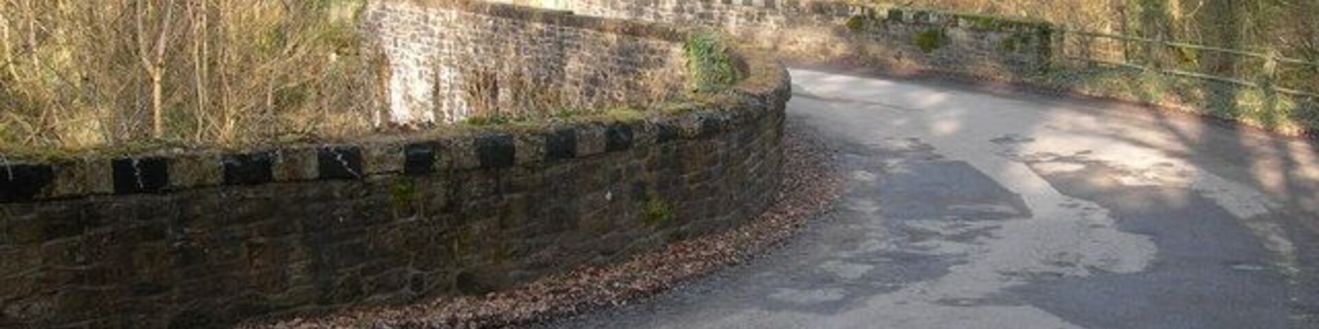 Uma estrada sinuosa em área arborizada, com um muro de pedra de um lado.