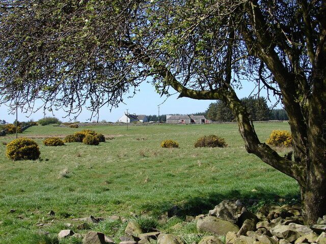 Paisagem rural com uma grande árvore, campos verdes ondulantes, arbustos esparsos e edifícios agrícolas ao longe.
