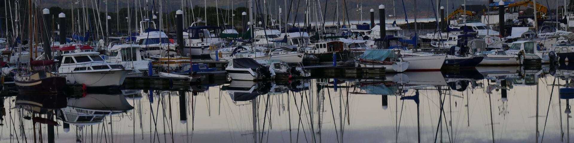 Beautiful quality of light here in Scotland, impossible not to enjoy