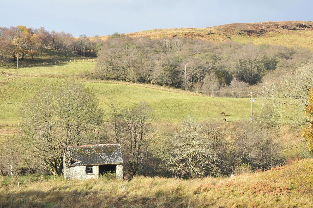 Paisagem rural com colinas ondulantes, uma casa de pedra e um campo com animais a pastar.