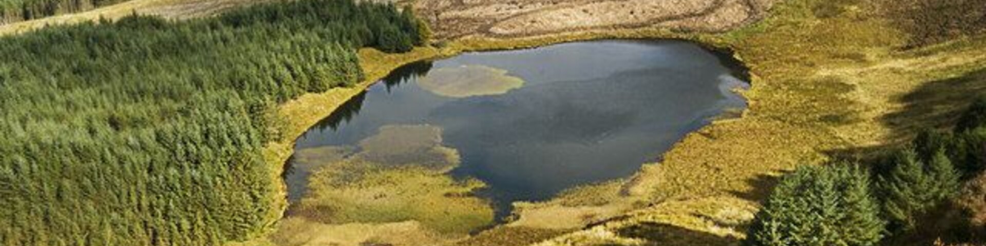 Um lago rodeado por colinas arborizadas.