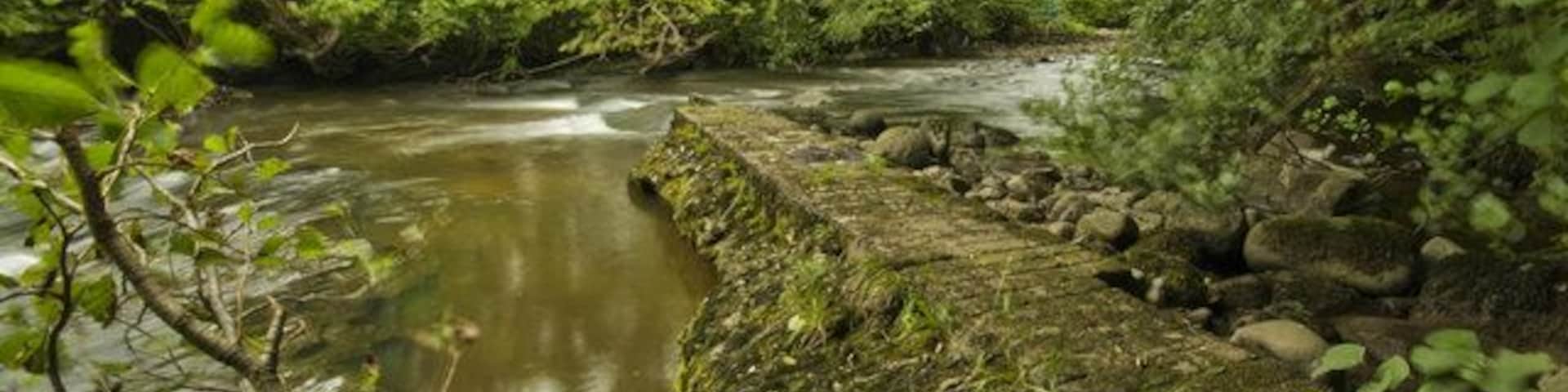 Remains of Weir Remains of Weir across Afon Cynon