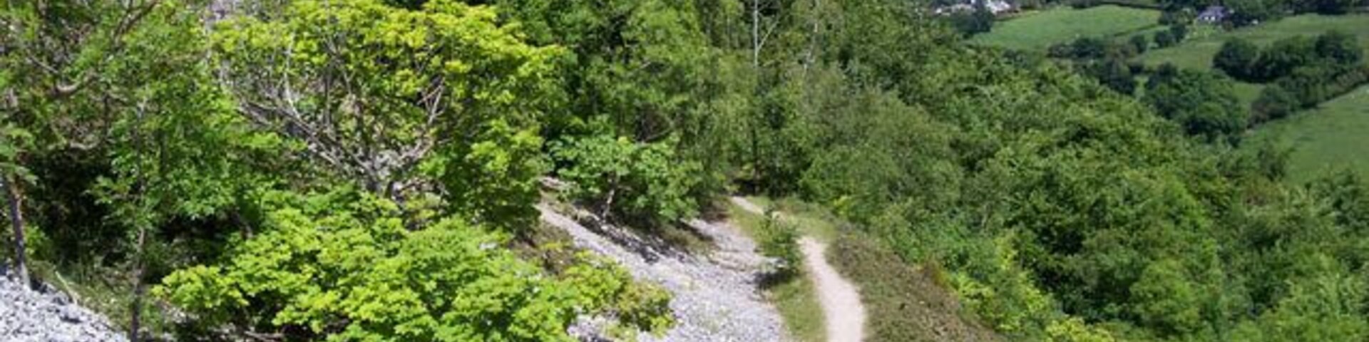 North Wales LDP This section of the path heads for the coast on the flank of the Dulas valley, along a beautifully engineered path which gave access to the quarried outcrop of Craig y Forwyn. If it was a tramway at some stage I do not know, but as it passes through the woodland lower down it is formed into significant rock cuttings.