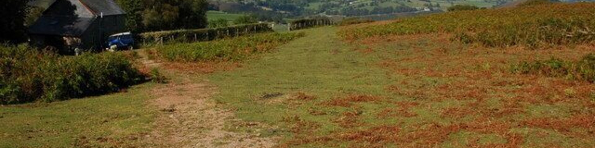 Cottage on Cefn Llwydallt Isolated cottage on the edge of Cefn Llwydallt, the Wye valley can be seen in the background.
