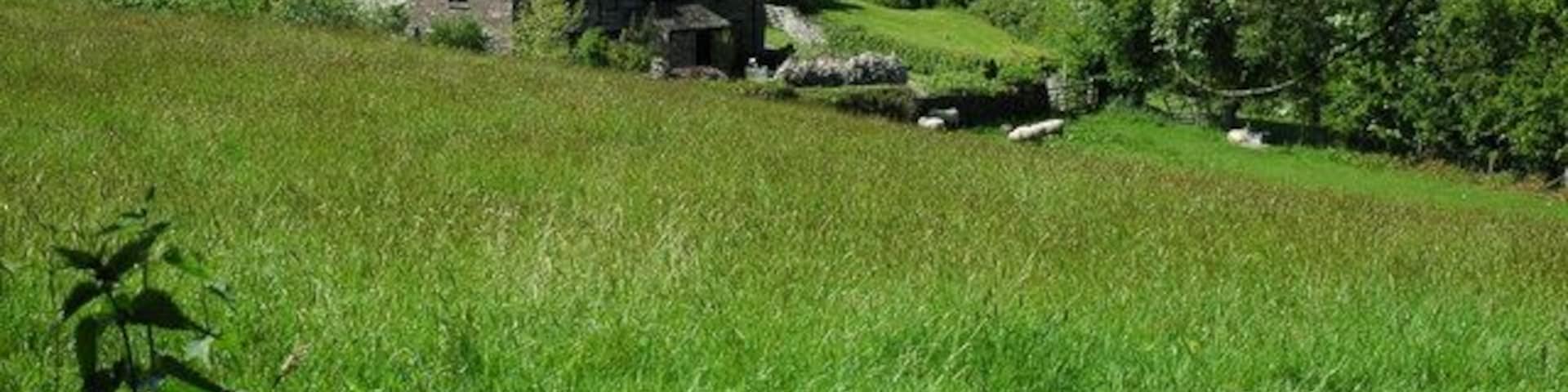 Aberhowy Farm, Llangynidr Aberhowy Farm near Llangynidr,viewed from the towpath of the Monmouthshire and Brecon Canal.