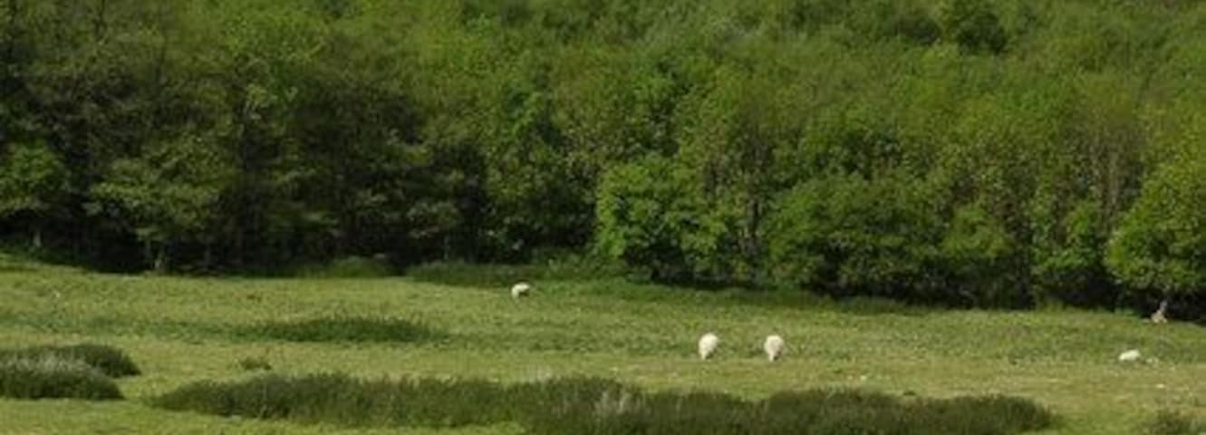 View to the north from Ty-Rachel barn View north across the Usk Valley into the Rhiangoll valley with Mynydd Troed on the horizon.