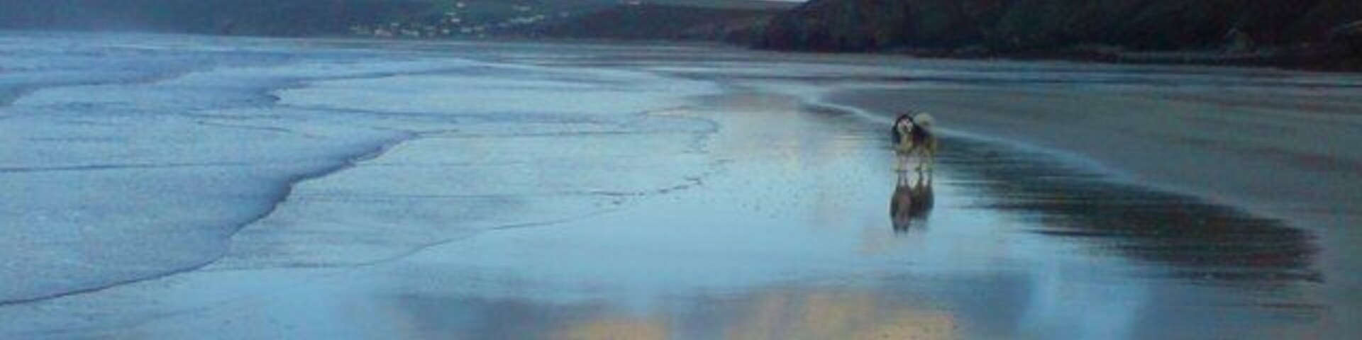 Uma praia com águas calmas, um cão e colinas ao longe sob um céu parcialmente nublado.