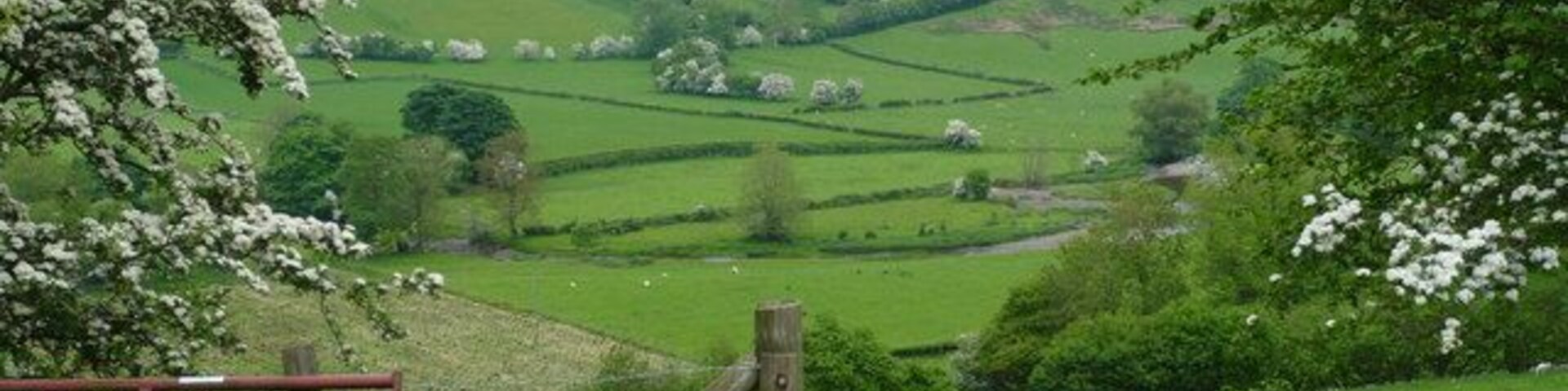 The RiverTeme I took this photo of the River Teme in the valley below, while standing on a hill at Brandy House Farm.