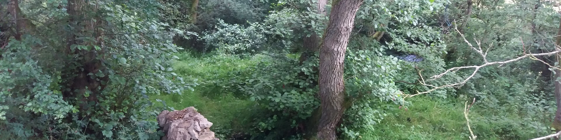 Ffynnon Tegla's well, Llandegla, Denbighshire, Wales. Celtic. Saint Tegla.