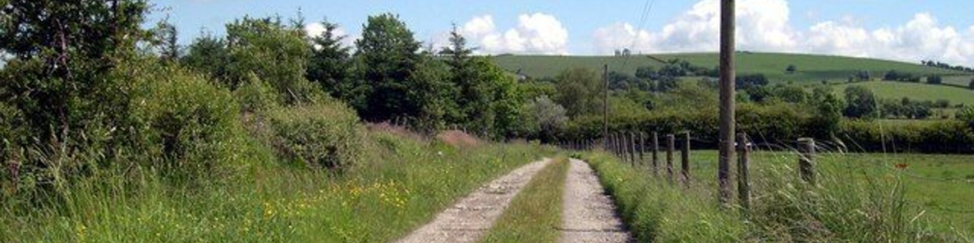 Track from Pledrog farm