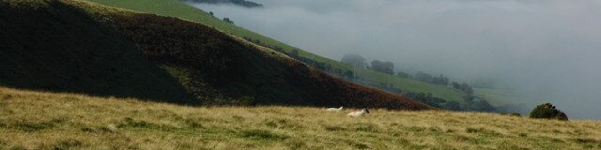Mist above Llangammarch Wells Mist fills the valley above Llangammarch Wells and Llanwrtyd Wells. View here from the B4519 above Cwm Graig ddû.