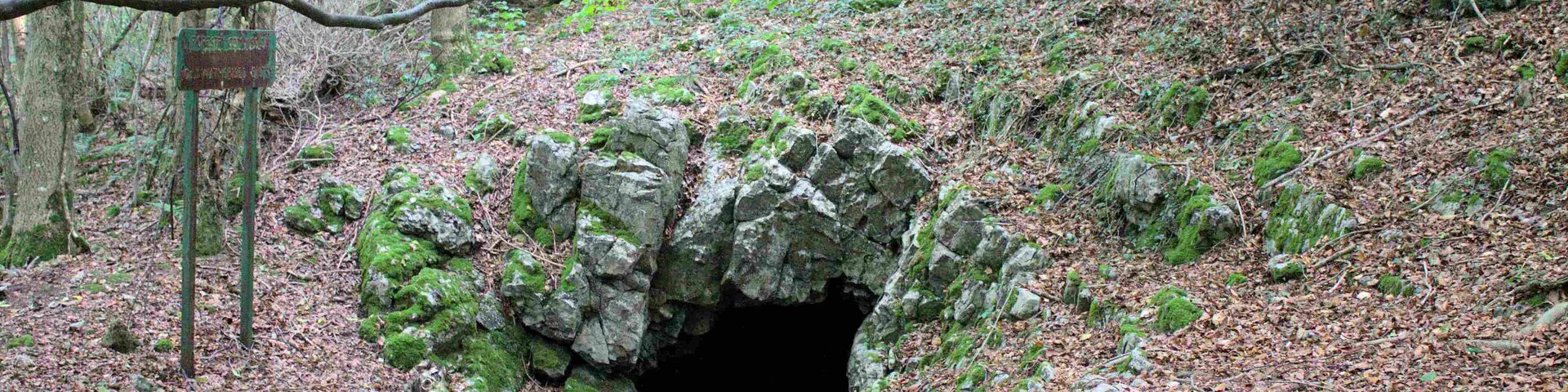 The Big Covert Cave, Maeshafn, Denbighshire, Wales. Bronze Age remains. (PRN 102318)